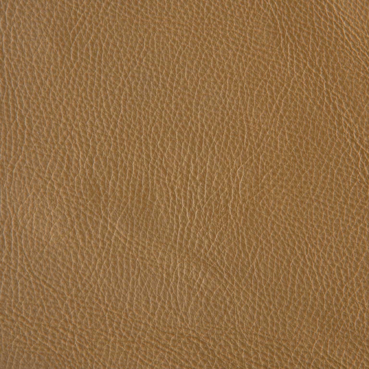 ROCHFORT – Linea Domo